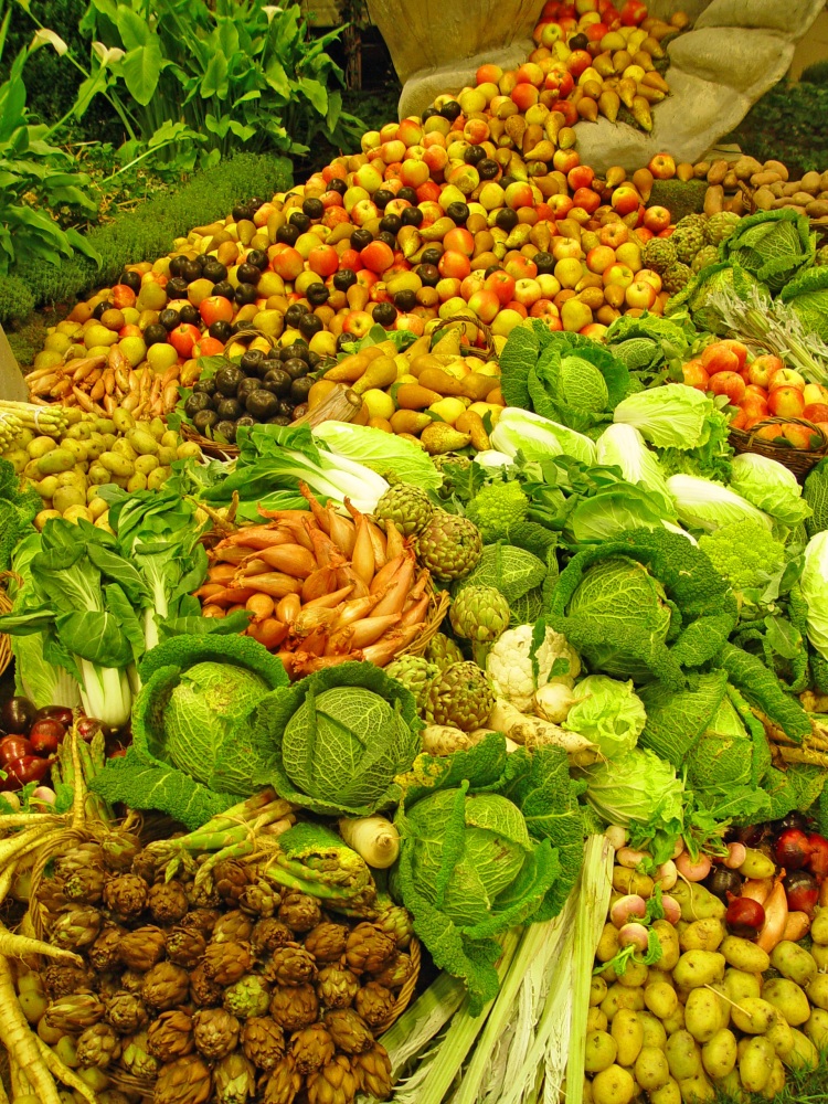 7 TIPS FOR STARTING A KITCHEN GARDEN 7 TIPS FOR STARTING A KITCHEN GARDEN